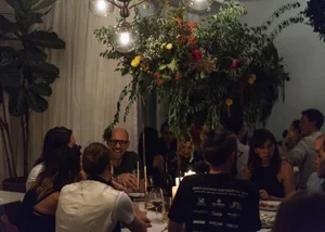 The Pollen Room — SOOK