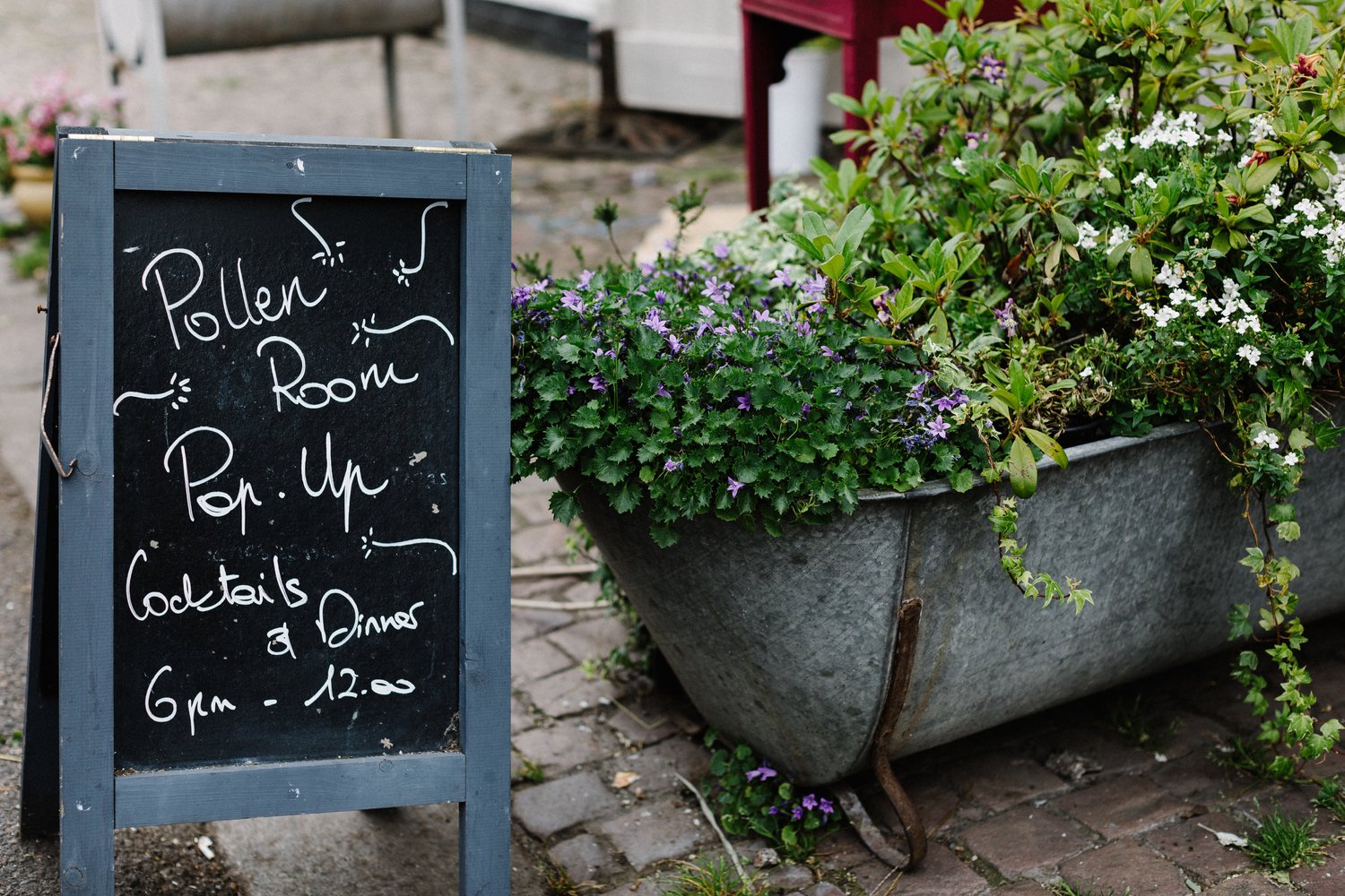 Pollen Room: London Edition — SOOK