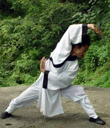 Ba Gua Zhang (Ba Gua Palm) — WudangDao Cultural Institute