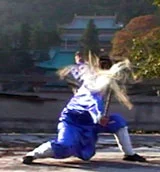 Fu Chen — WudangDao Cultural Institute