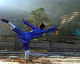 Fu Chen — WudangDao Cultural Institute