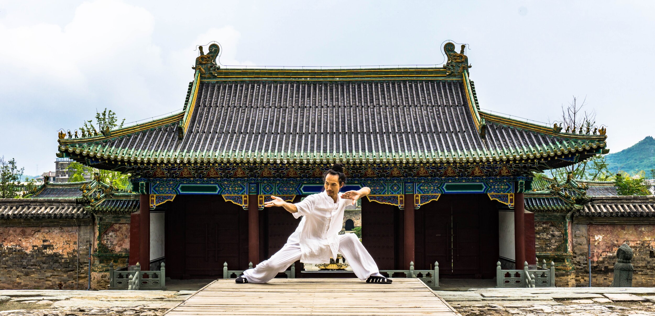 Taiji & Qigong Modules — WudangDao Cultural Institute
