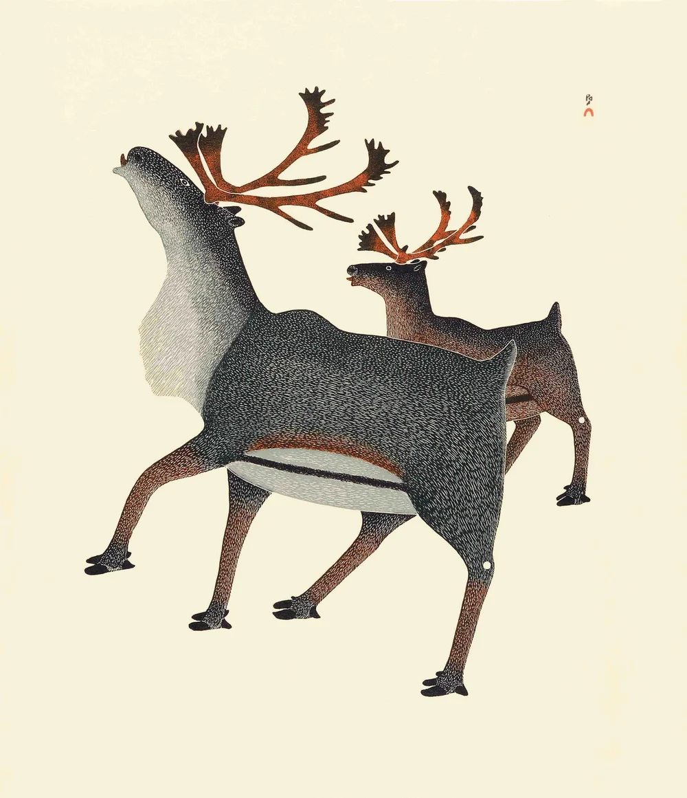 Qiatsuq Niviaqsi — DORSET FINE ARTS