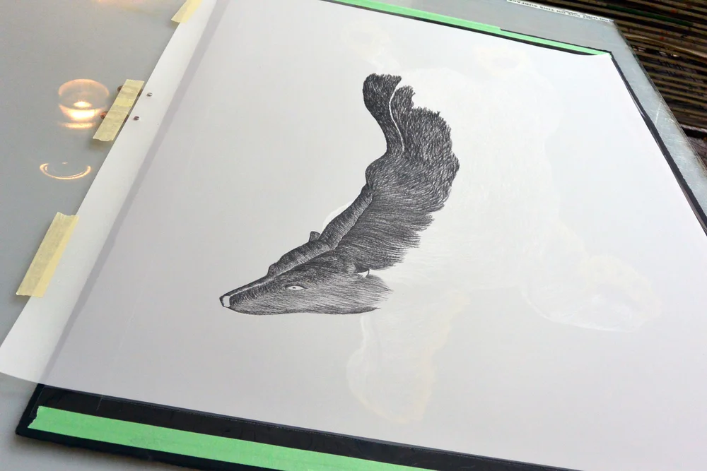 SCREEN PRINTING — DORSET FINE ARTS