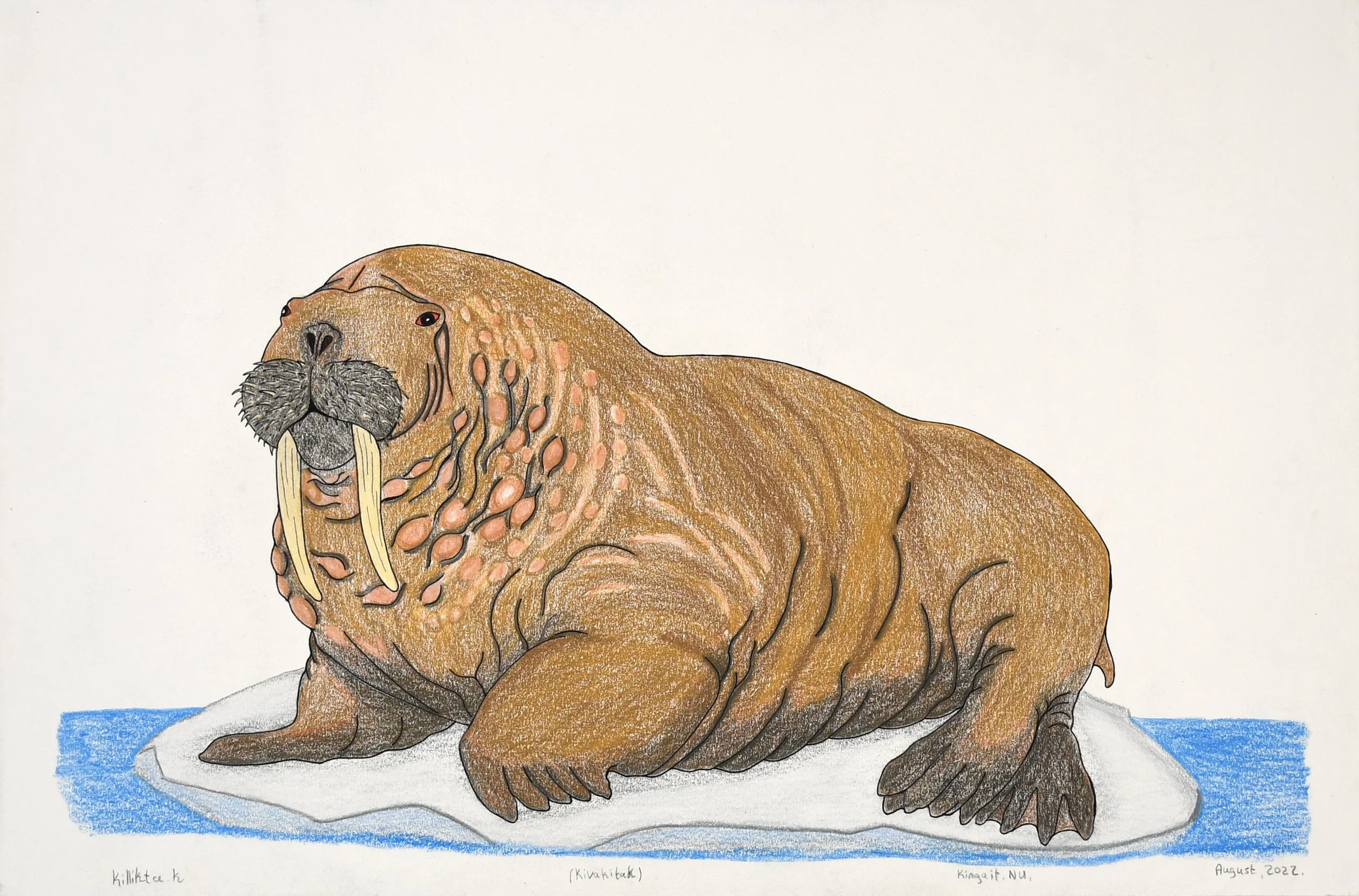 Available Drawing Artists — DORSET FINE ARTS