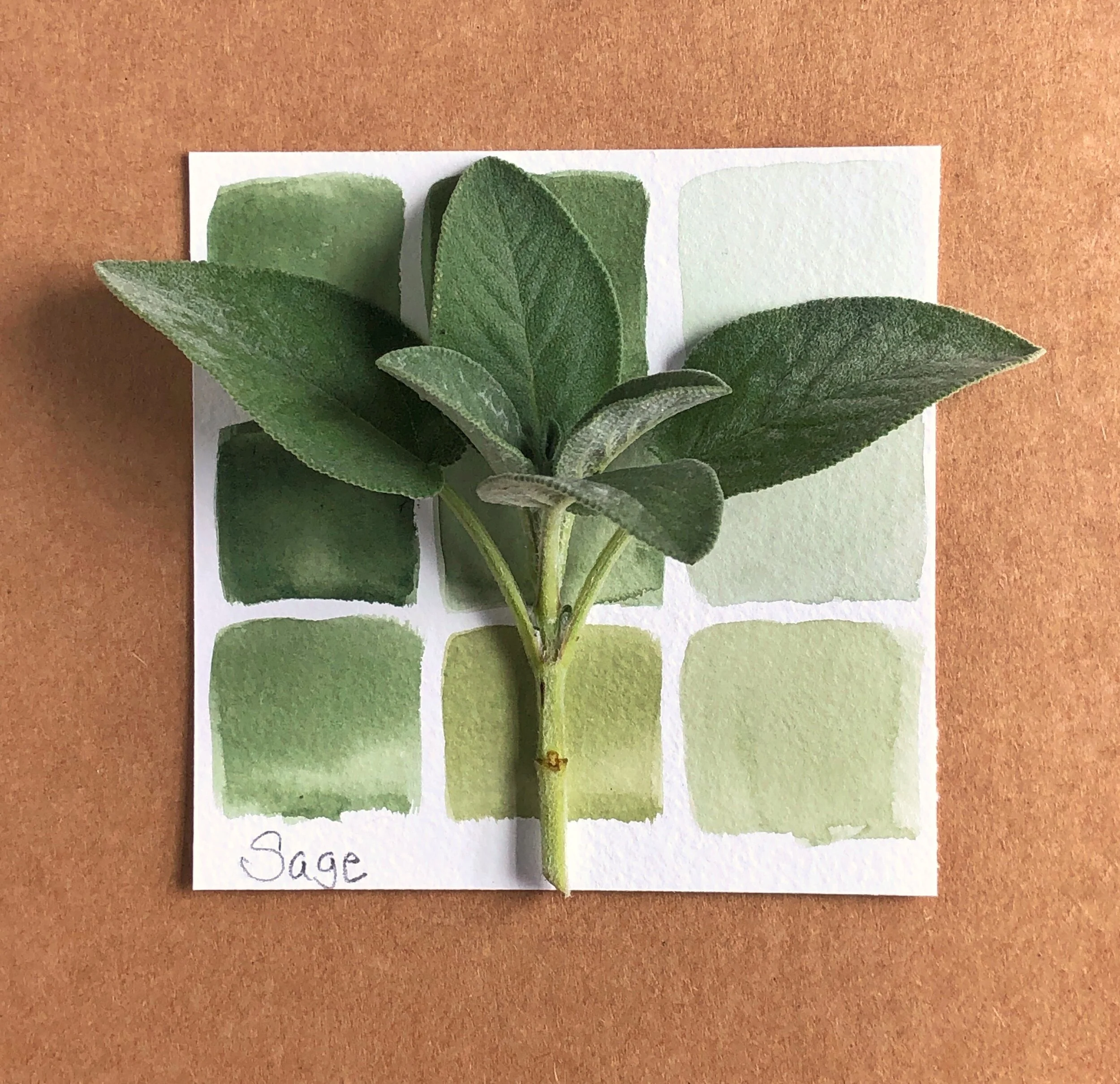 Store — a handmade garden