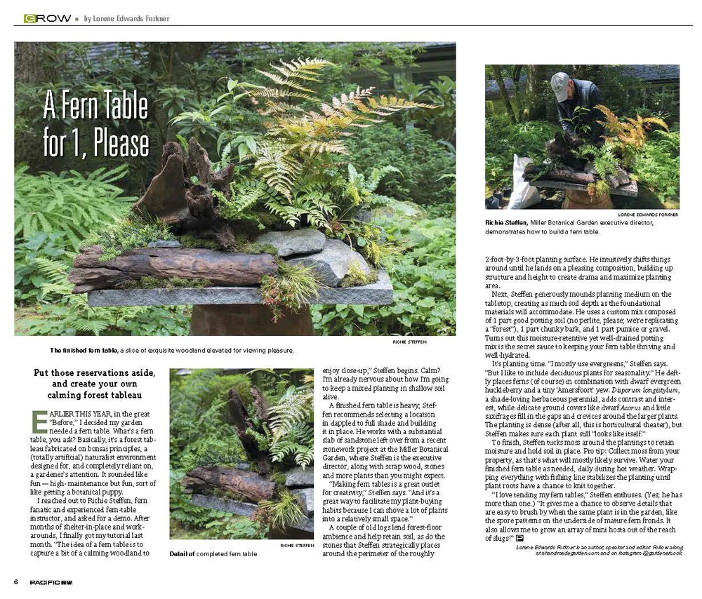 A Fern Table for 1, Please — a handmade garden