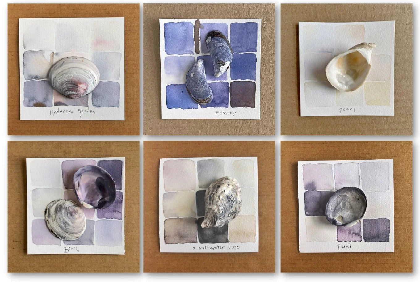Shell Postcards (12) — a handmade garden