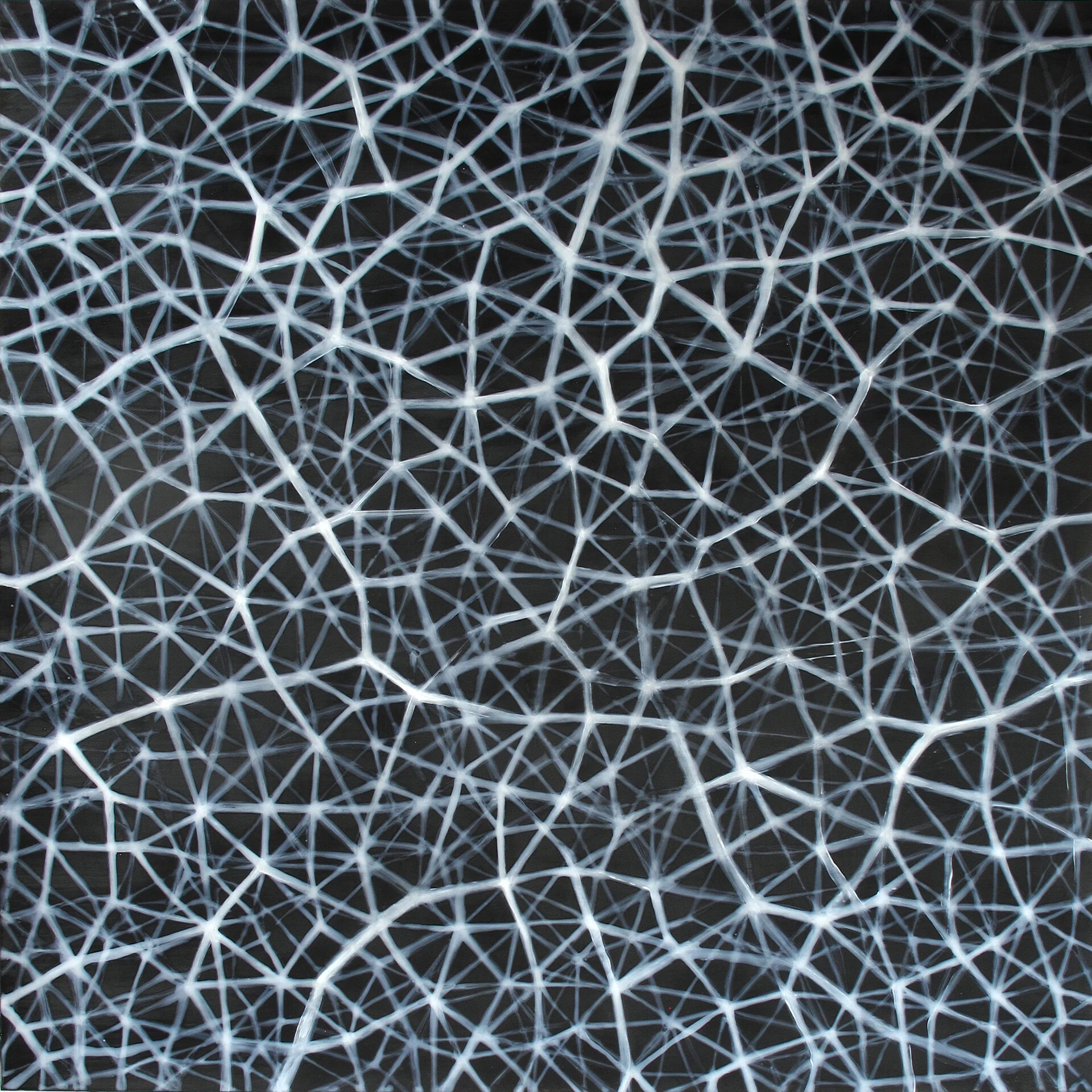 Catherine Woo Vibrant Matter — ARC ONE Gallery