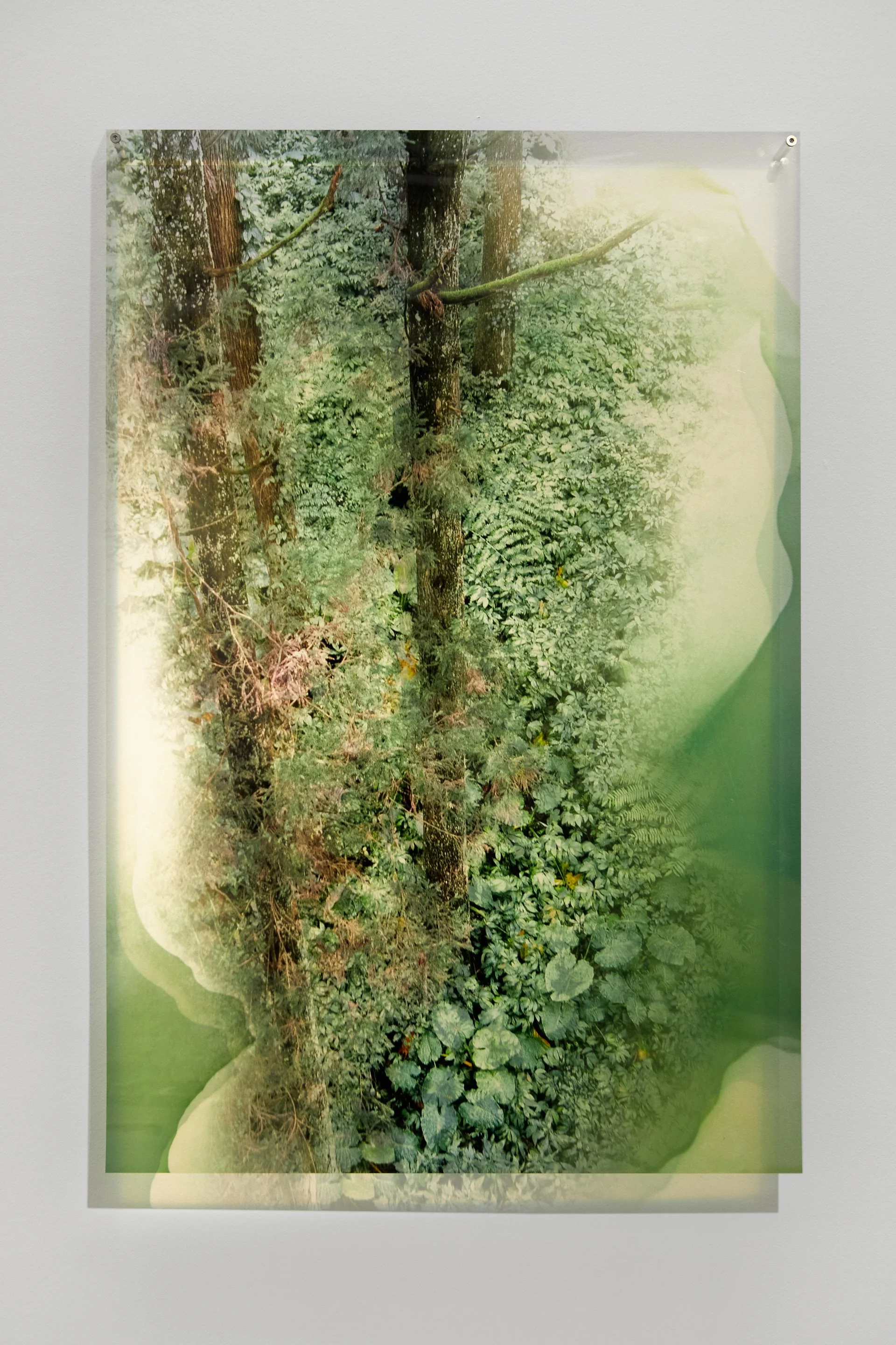 Janet Laurence (Copy!!!!!) — ARC ONE Gallery