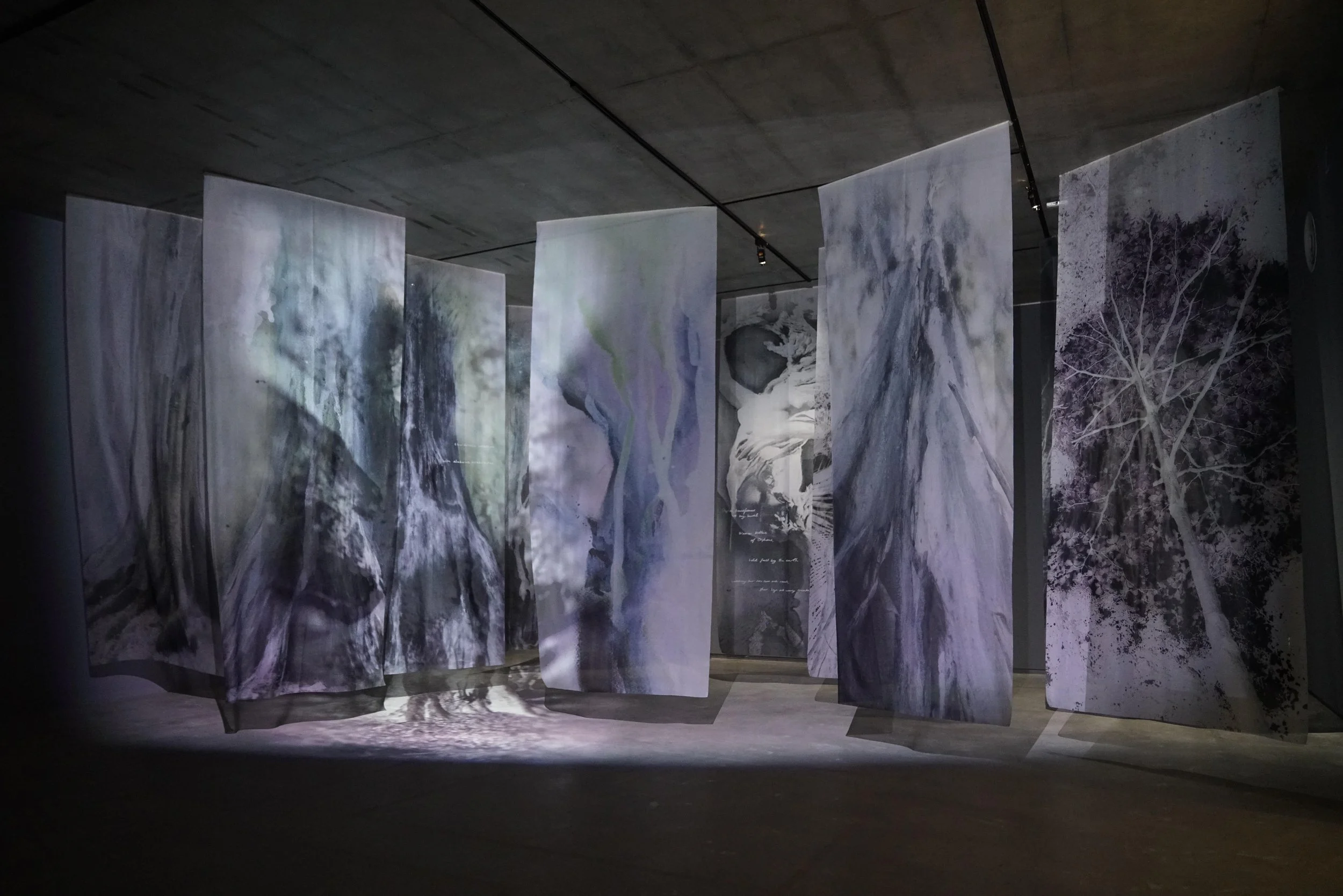 Janet Laurence (Copy!!!!!) — ARC ONE Gallery