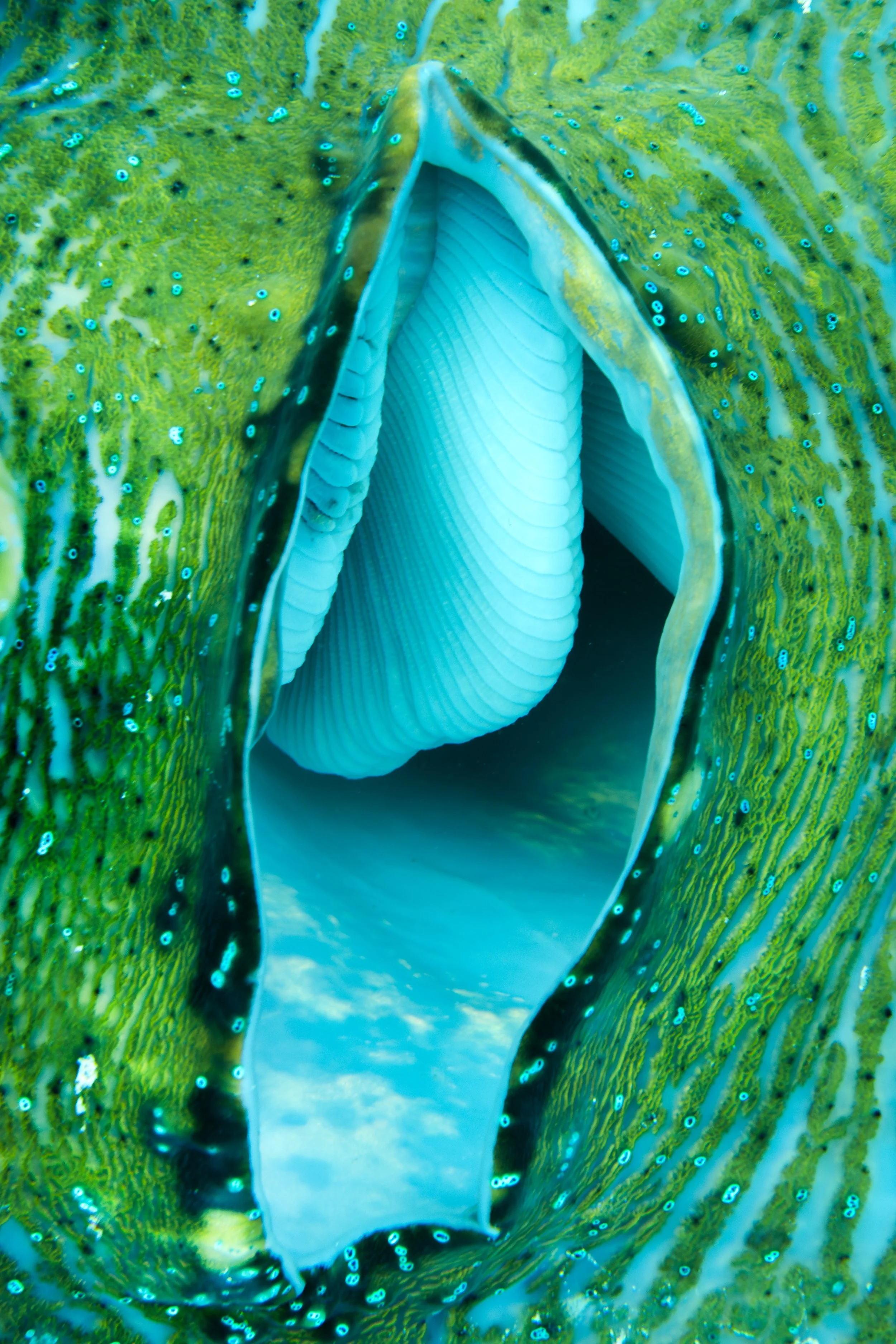 ARC ONE Gallery - Art Gallery in Flinders Lane Melbourne Australia