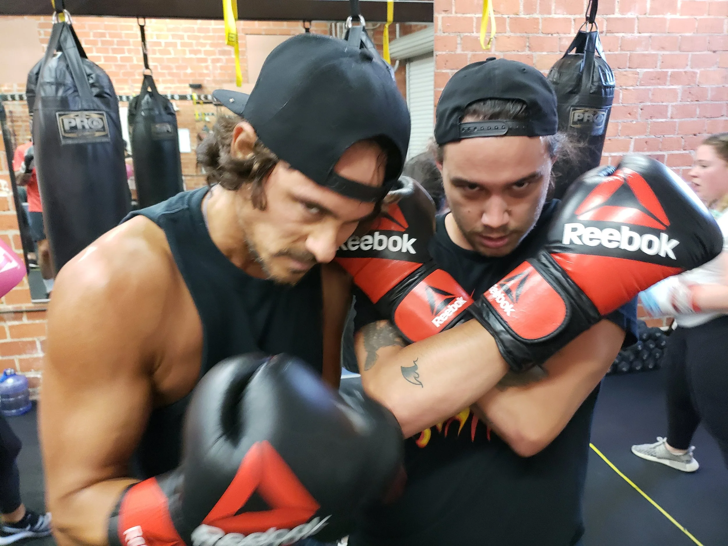 Prevail boxing july 10 — The Cobrasnake
