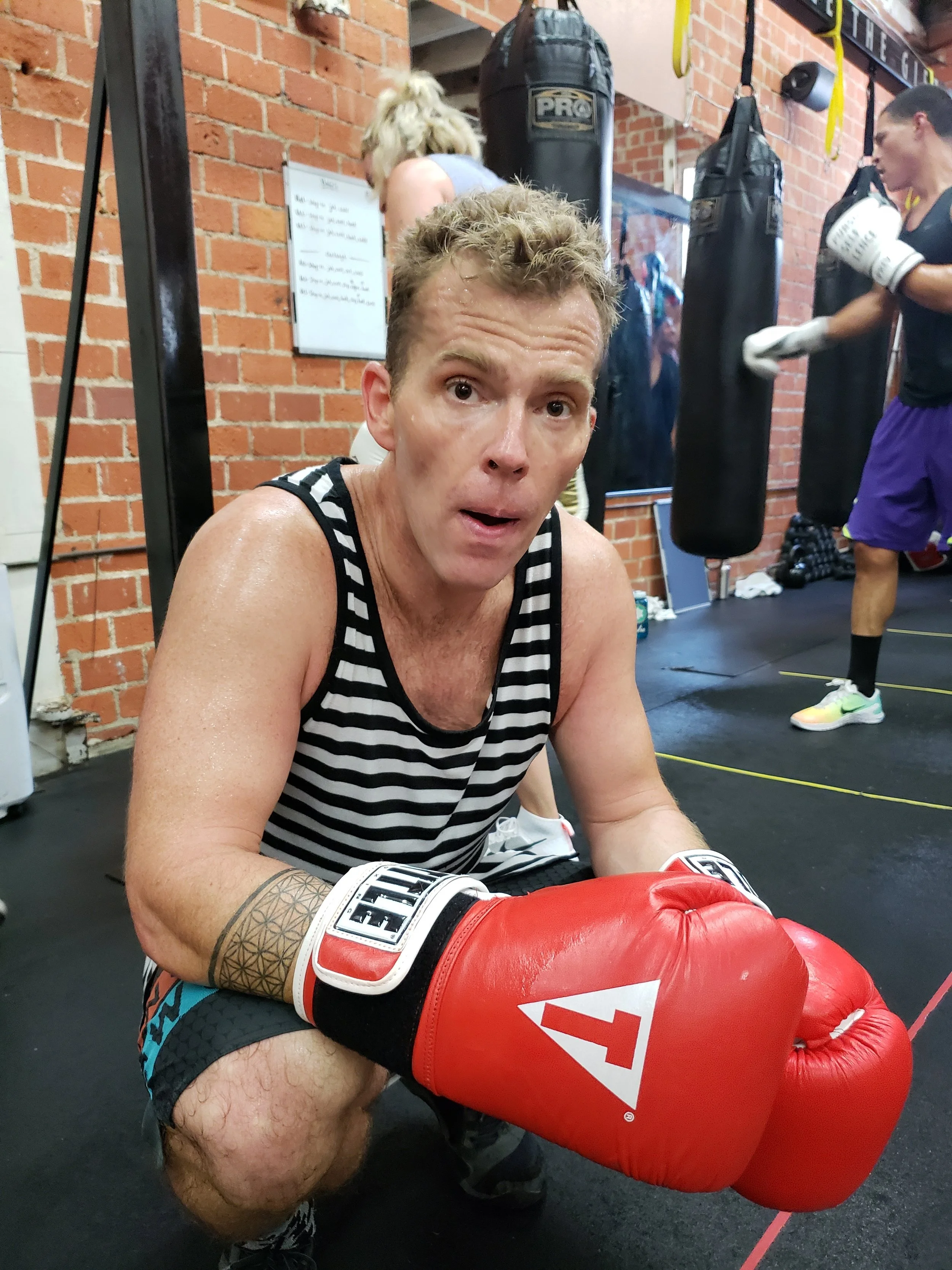 Prevail boxing july 10 — The Cobrasnake