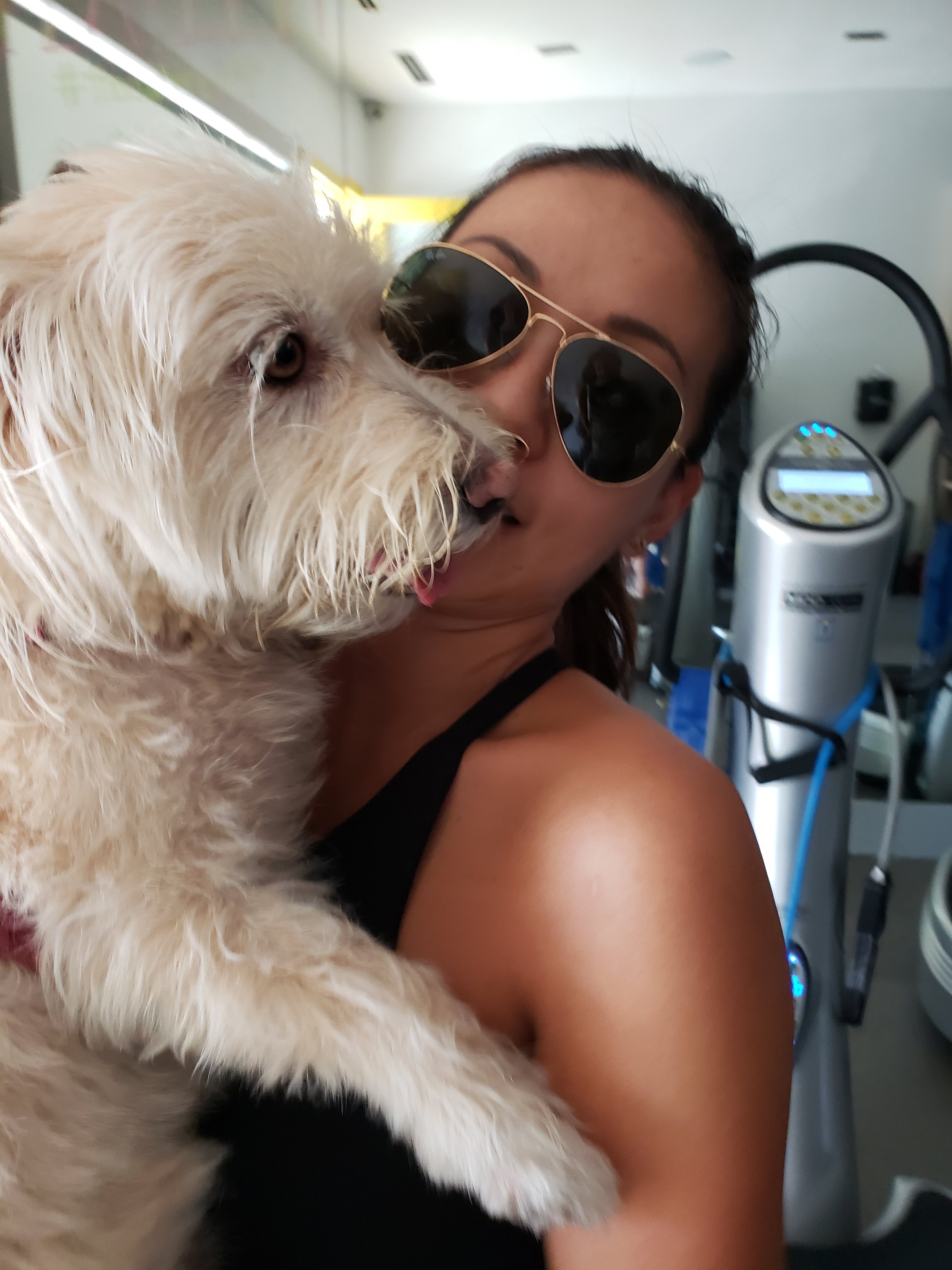 platefit oct 24 — The Cobrasnake