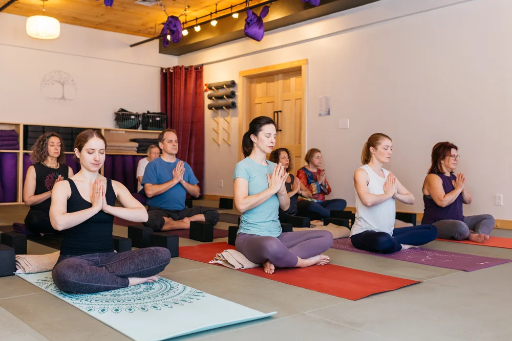 Framingham, MA Yoga Photo Shoot {W/ Common Ground Yoga} — Tracy ...
