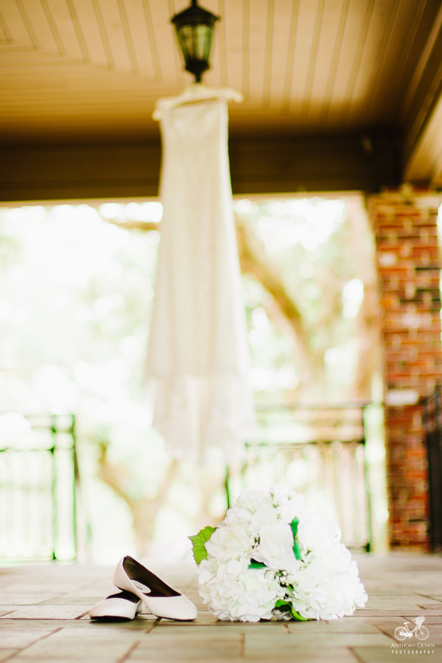 Anthony Ochoa Photography