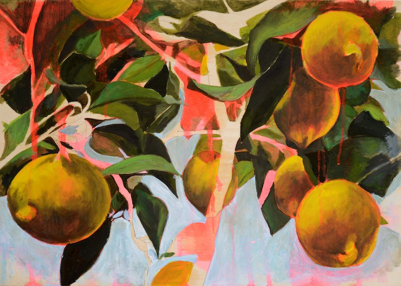 shop — David Diehl