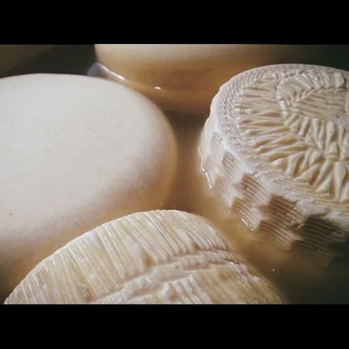 Chester County Cheese Artisans