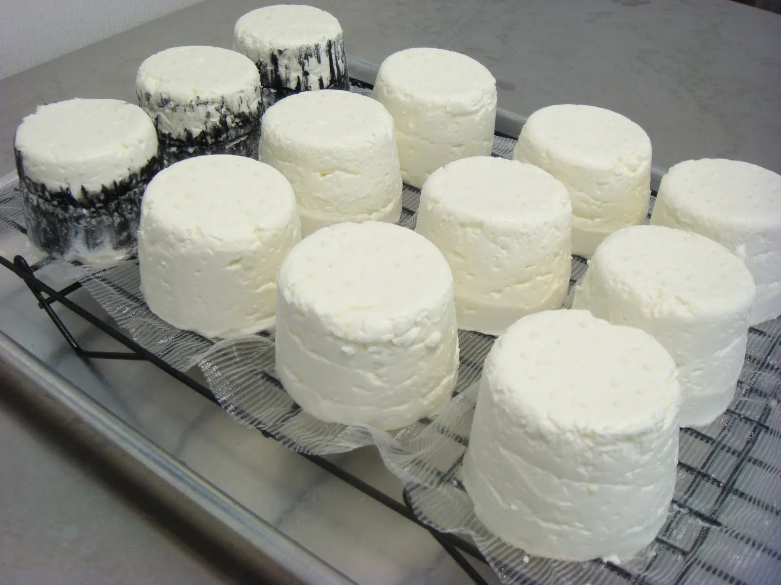 Chester County Cheese Artisans