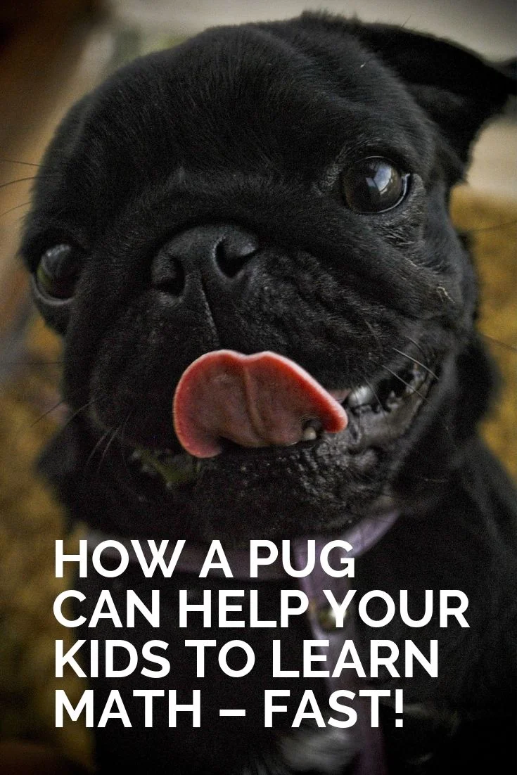 How A Pug Can Help Your Kids To Learn Math – Fast! — Every Thing For Dads