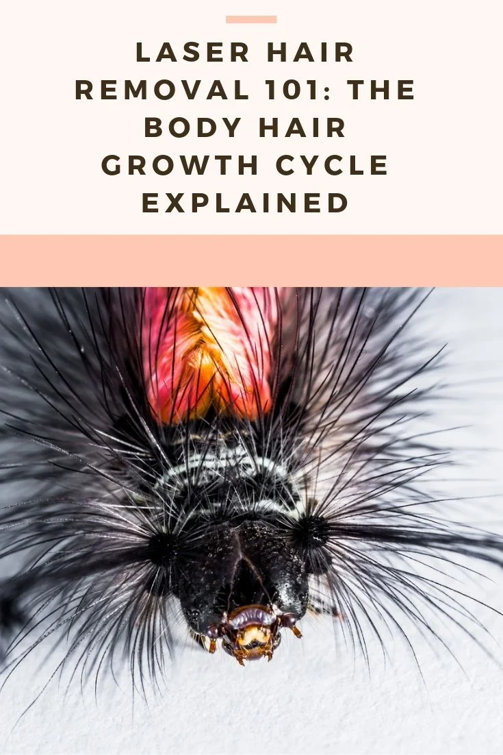 Laser Hair Removal 101: The Body Hair Growth Cycle Explained — Every ...