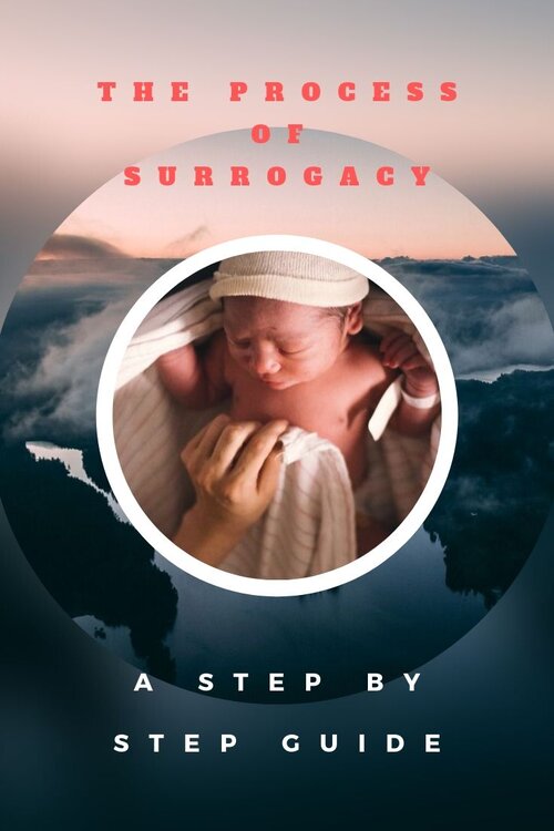 The Process of Surrogacy: A Step By Step Guide — Every Thing For Dads