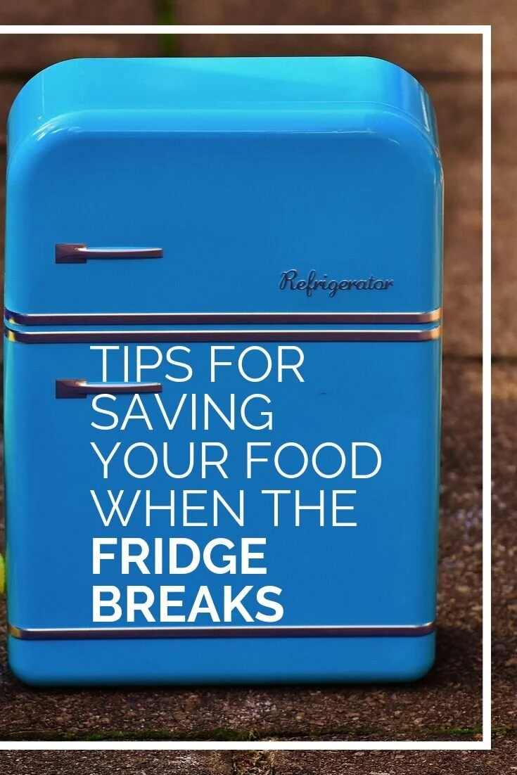 Tips For Saving Your Food When The Fridge Breaks — Every Thing For Dads