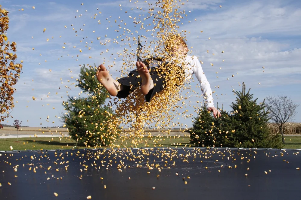 Best Trampoline Bounce Boards — Every Thing For Dads