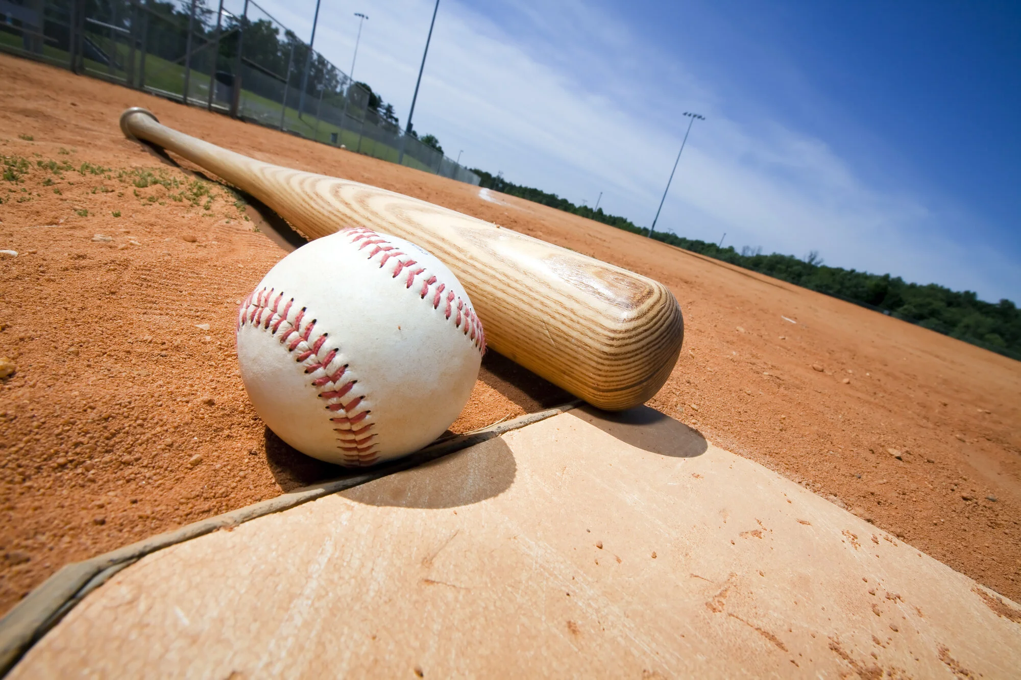 10 Baseball Fun Facts That Every Baseball Player Should Know — Every ... 10 Baseball Fun Facts That Every Baseball Player Should Know — Every ...