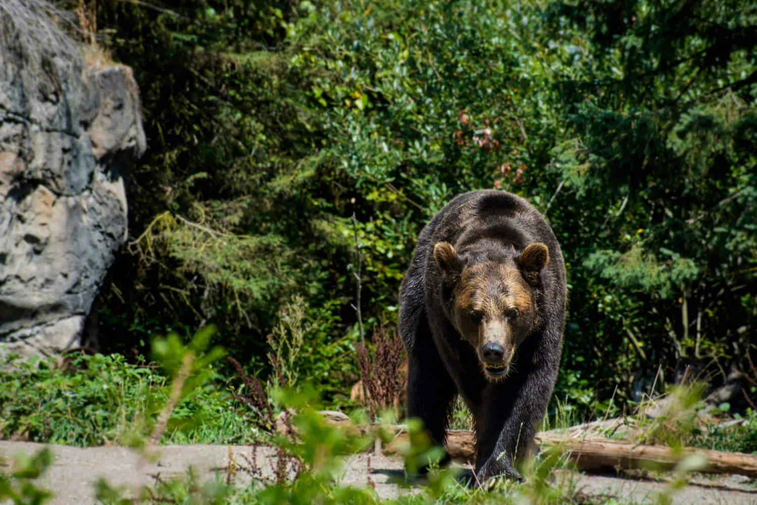 The Ultimate Family Adventure To Seattle — Every Thing For Dads