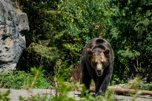 The Ultimate Family Adventure To Seattle — Every Thing For Dads