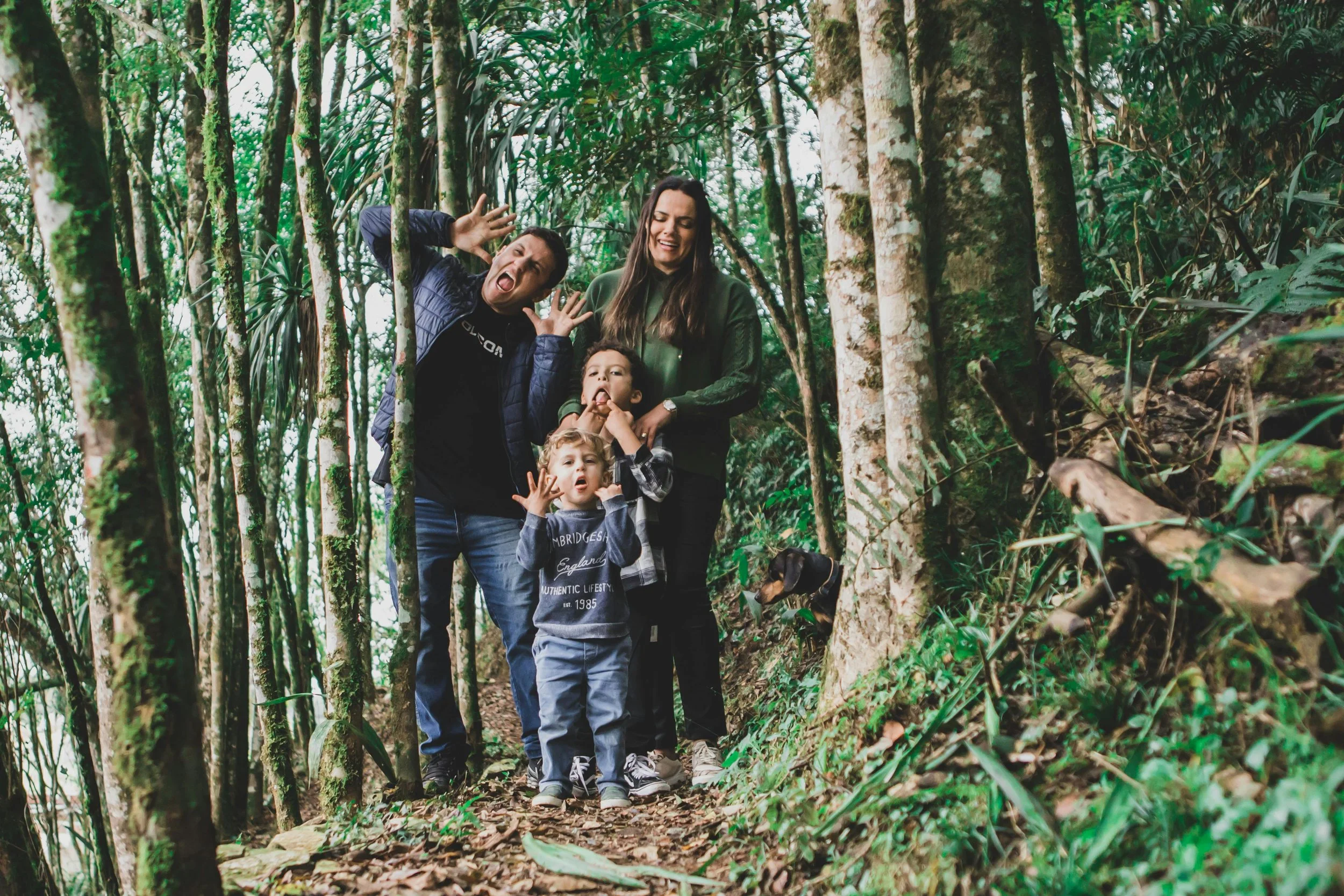 Hands-On Learning: Forest-Based Activities for Kids — Every Thing For Dads