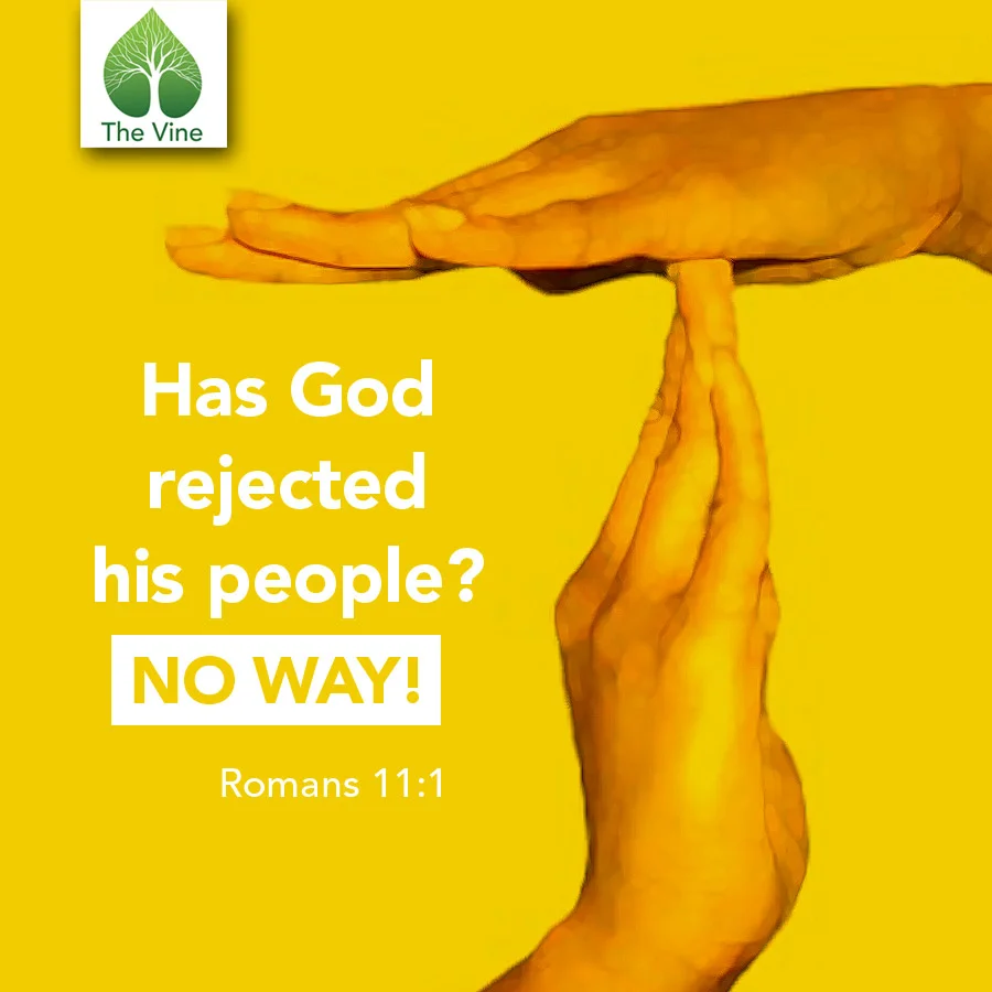 God Will Never Reject You Romans 11 1 12 Vine Bible Study God Will Never Reject You Romans 11 1 12 Vine Bible Study