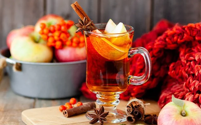 This gorgeous hot cocktail is made with gin, apple juice and mint tea ...