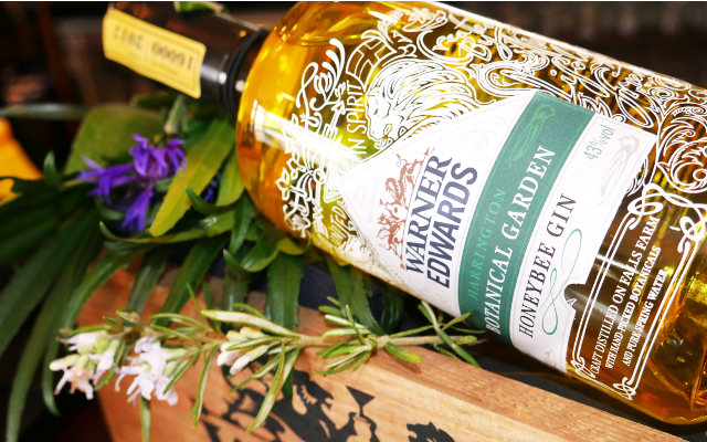 'Bee' prepared to get excited about June 2017's fabulous gin of the ...