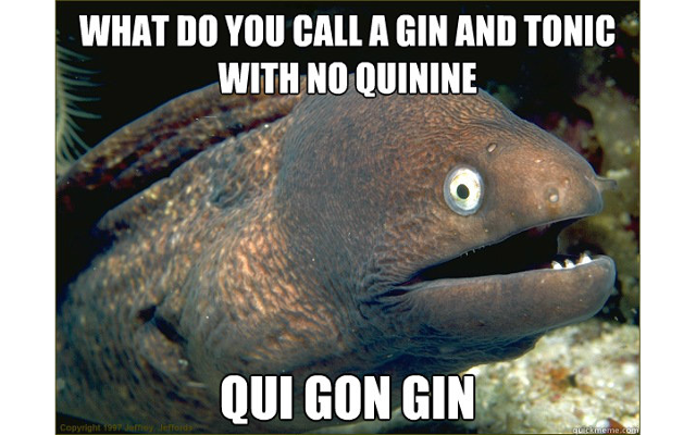 11 memes about gin that will seriously crack you up — Craft Gin Club ...