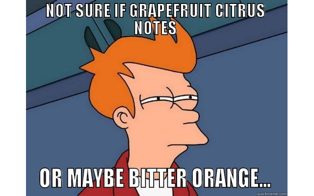 11 memes about gin that will seriously crack you up — Craft Gin Club ...