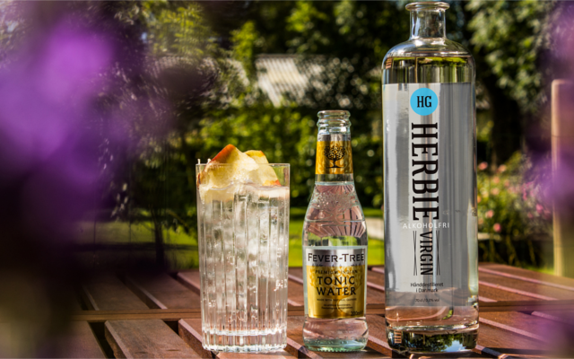 Need to go booze-free? Have no fear – non-alcoholic gin is here ...