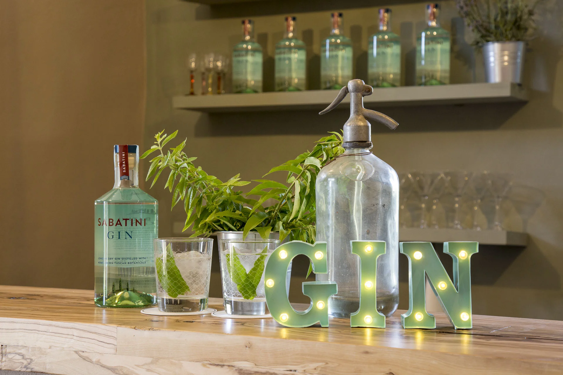 Meet January's Gin of the Month: Sabatini Gin! — Craft Gin Club | The ...