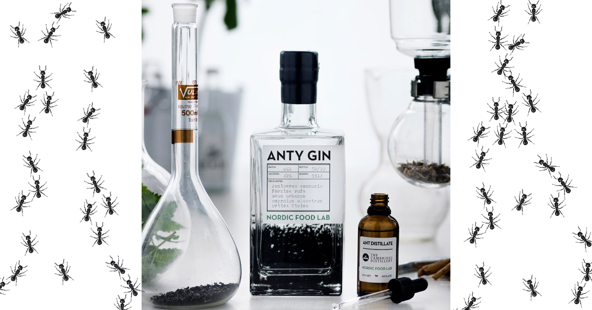 Is this the most brilli'ANT' gin made??? — Craft Gin Club | The UK's No ...