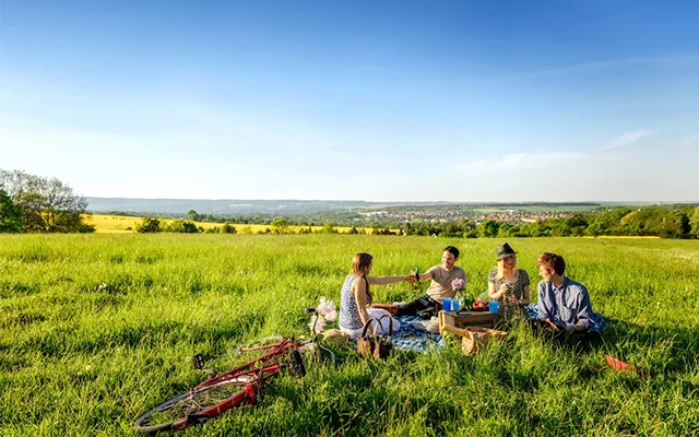 4 essential steps to holding the perfect gin picnic this summer — Craft ...