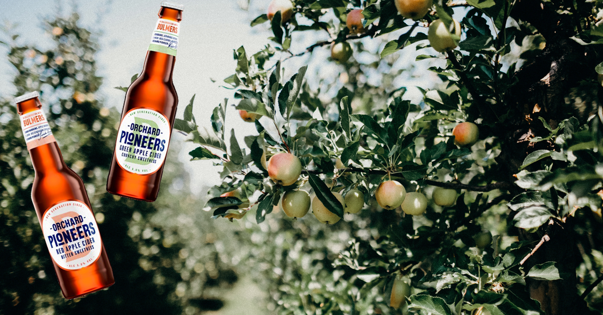 How to: Taste Cider! — Craft Gin Club | The UK's No.1 gin club