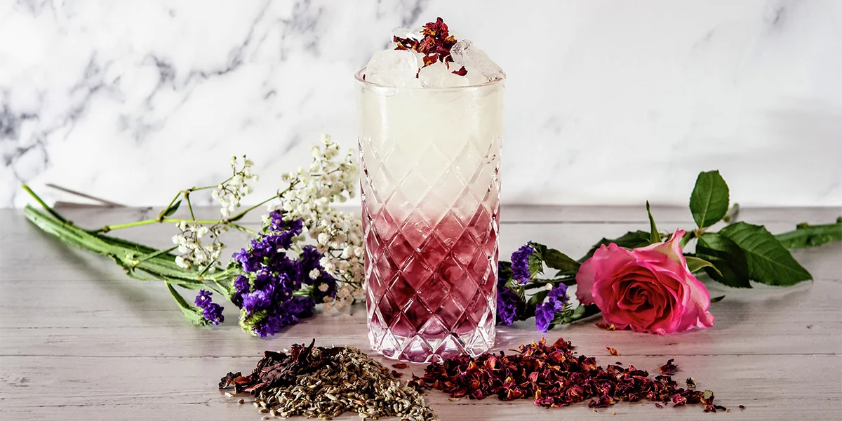Is the Cranberry & Lychee Collins the most handsome drink of the summer ...