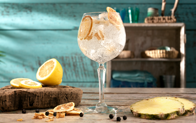 What garnish goes with this gin? Try this handy guide to garnishing ...
