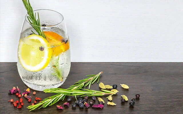 What is gin made from? How is gin different from vodka? And is ...