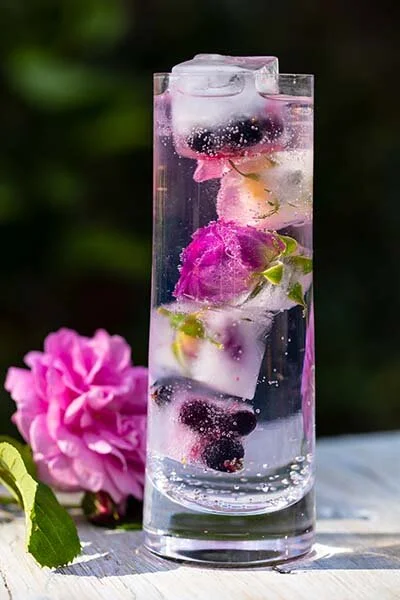 Ice shapes for drinks online