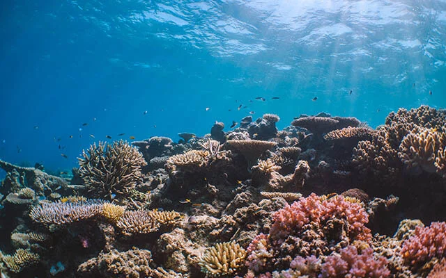 5 reasons this surprising destination Down Under is a gin lover's ...