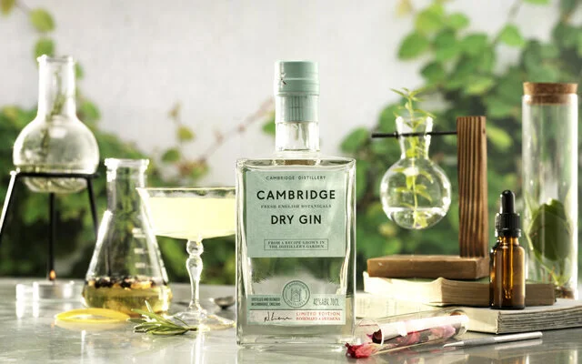 Our best gin quizzes to get you through the holidays in lockdown ...
