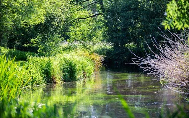 Our March 2021 Gin of the Month is the spirit of the River Test — Craft ...